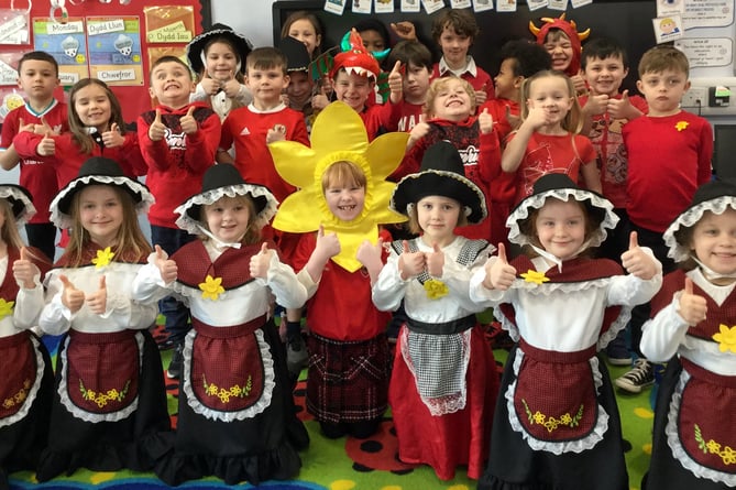 Should Saint David's Day be a national holiday? | cambrian-news.co.uk